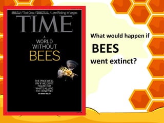 English KSSR year 5 poem (Watching a bumble bee) | PPT