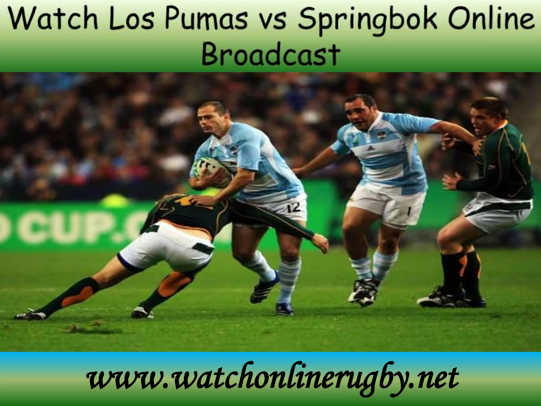 Watch live los pumas vs springbok on web | PPTX | Rugby Union | Rugby
