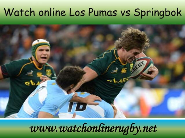 Watch rugby los pumas vs springbok live stream | PPT