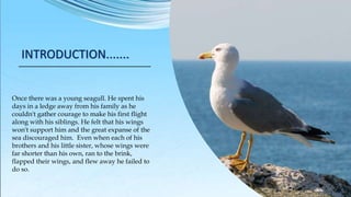 His first flight | PPTX