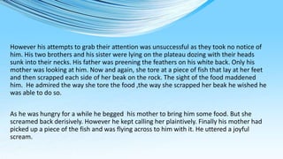 His first flight | PPTX