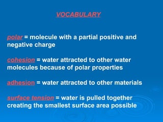 Water | PPT