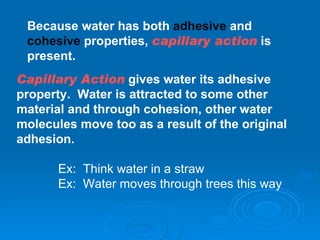Water | PPT
