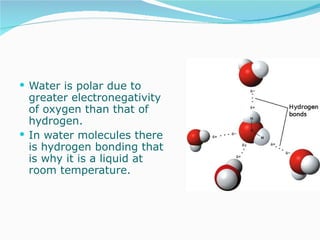 Water | PPT
