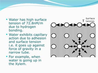 Water | PPT