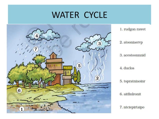Water | PPT