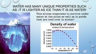 The functions of Water | PPTX