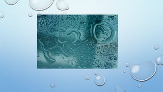 The functions of Water | PPTX