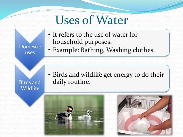 Water ppt water-ppt