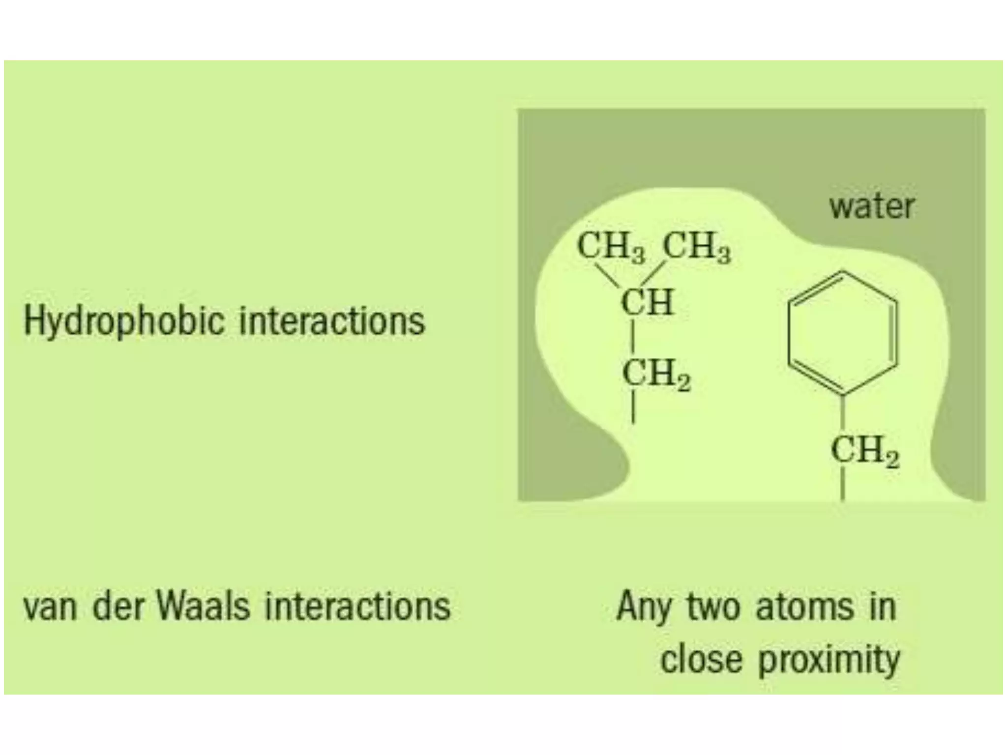 Biochemistry of Water | PPTX