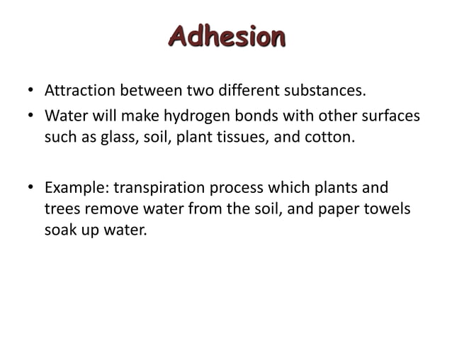 Biochemistry of Water | PPTX