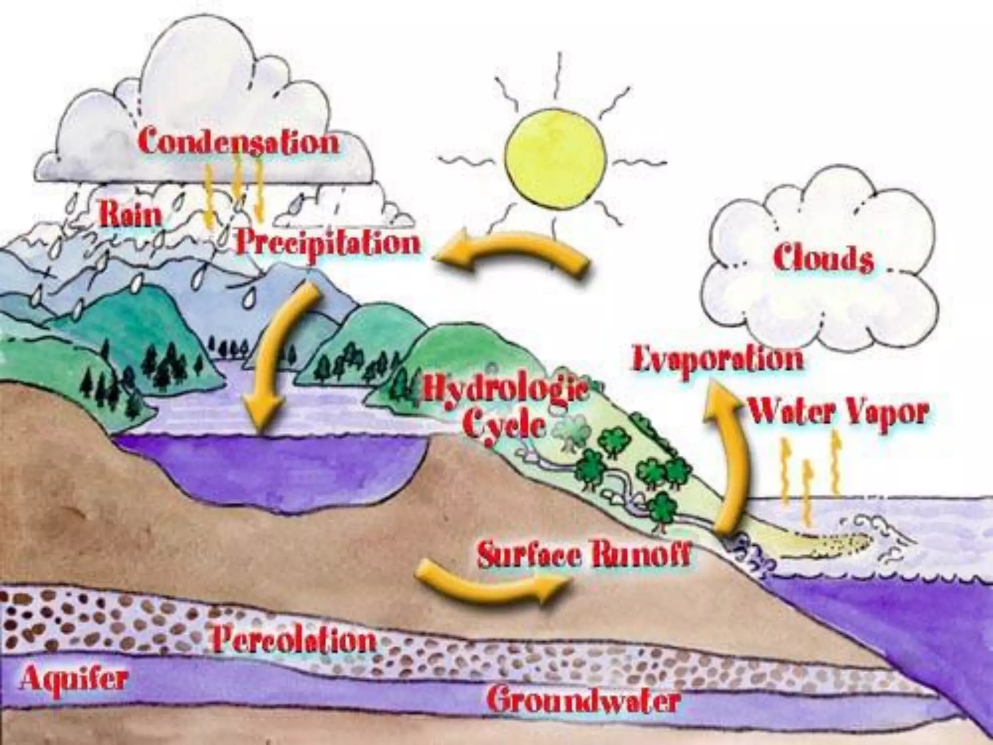 Water resources | PDF