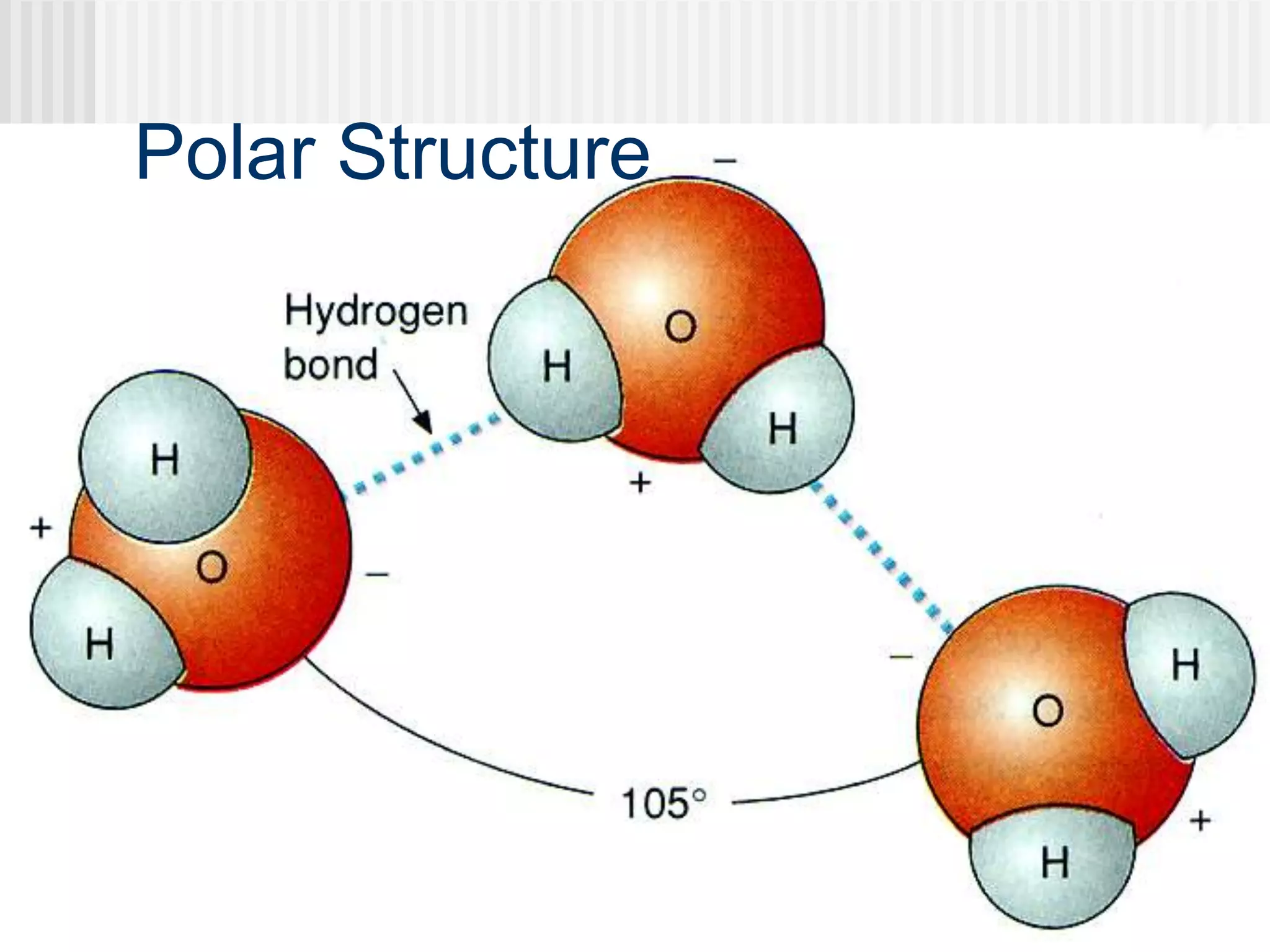 AP Biology Properties of Water | PPTX