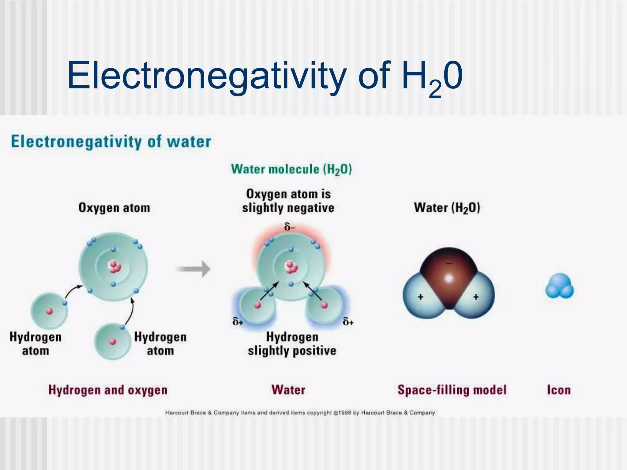 AP Biology Properties of Water | PPTX
