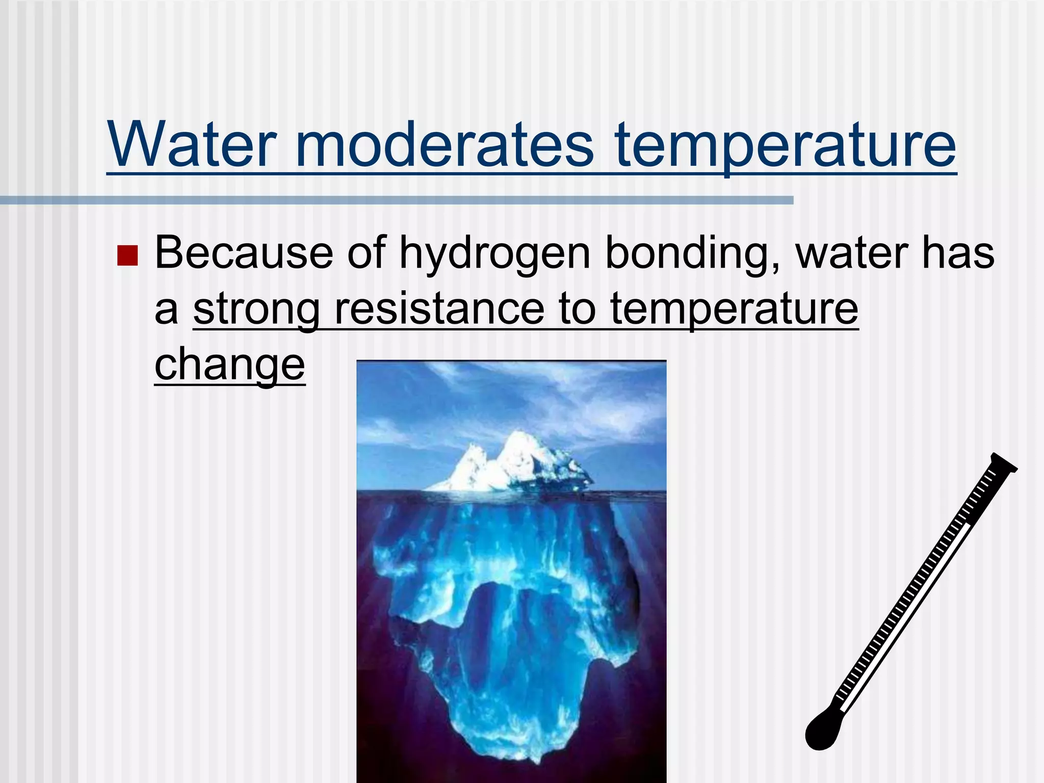 AP Biology Properties of Water | PPTX