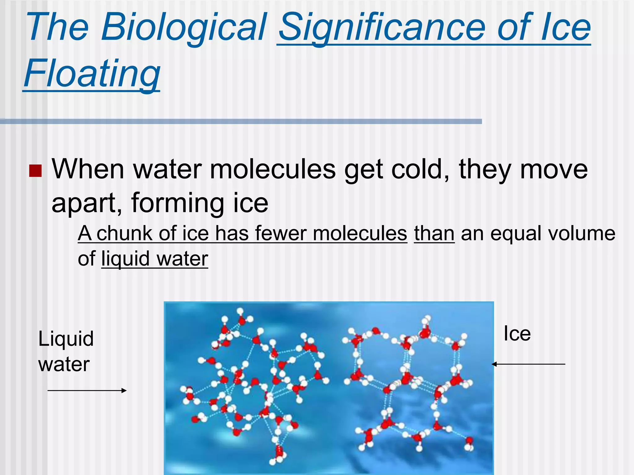 AP Biology Properties of Water | PPTX