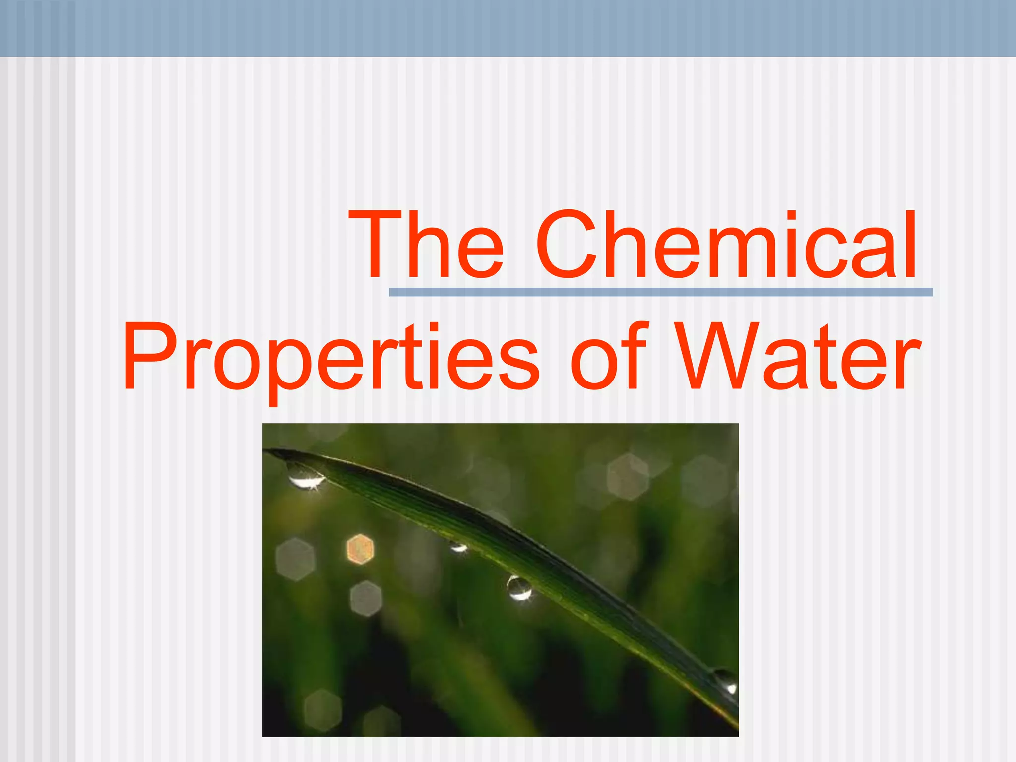 AP Biology Properties of Water | PPTX