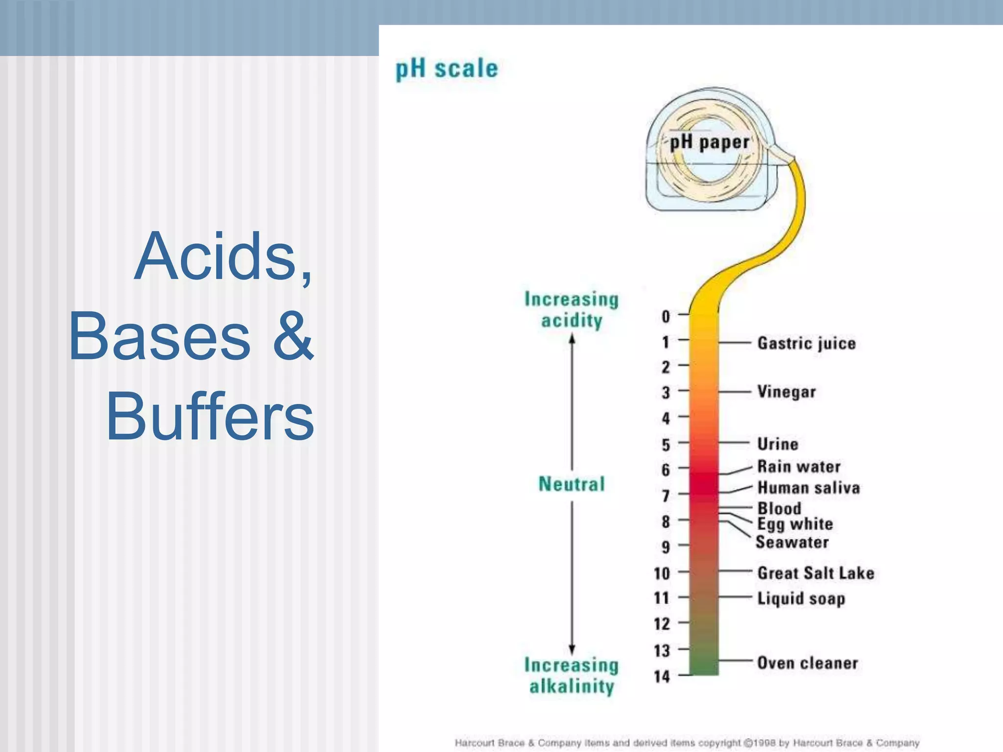 AP Biology Properties of Water | PPTX
