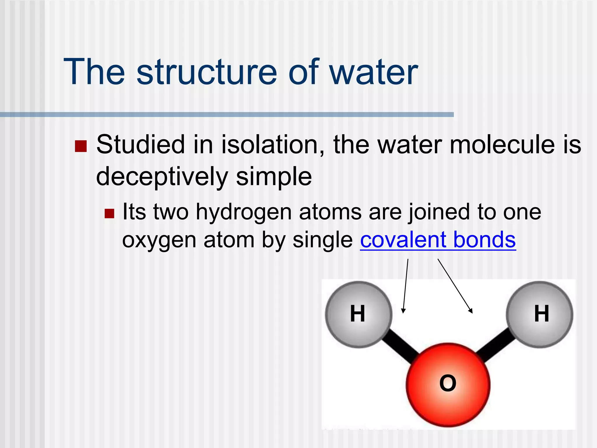 AP Biology Properties of Water | PPTX