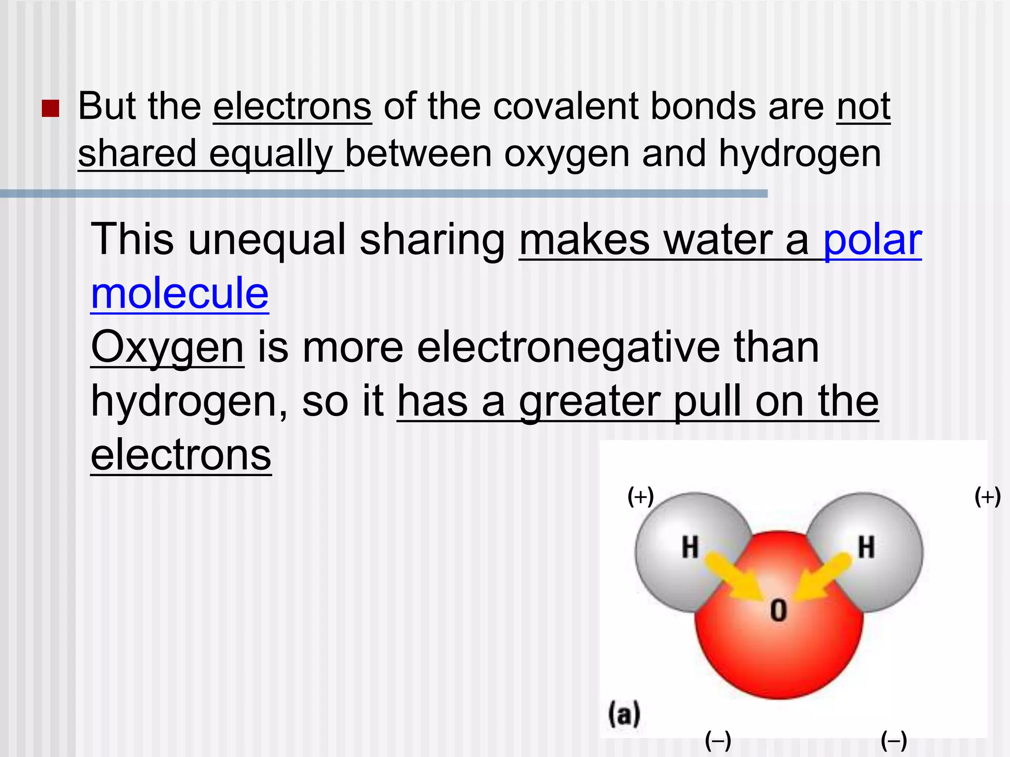 AP Biology Properties of Water | PPTX