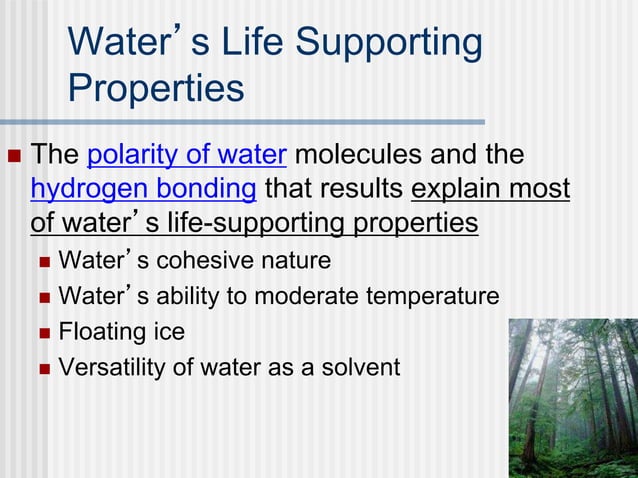 AP Biology Properties of Water | PPTX