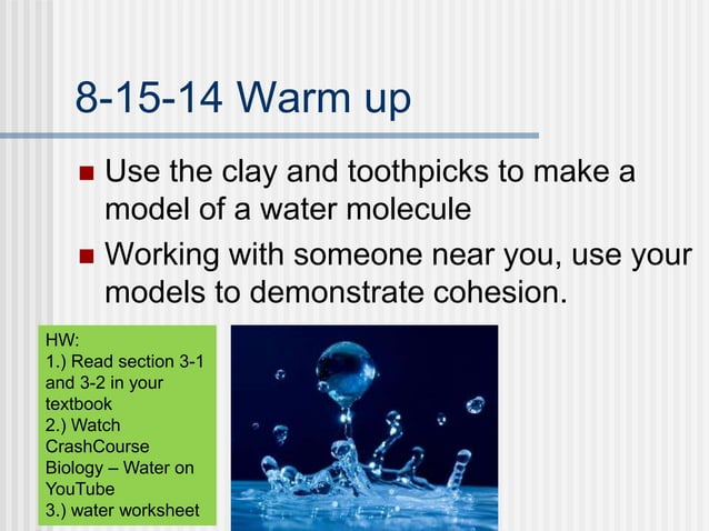 AP Biology Properties of Water | PPTX