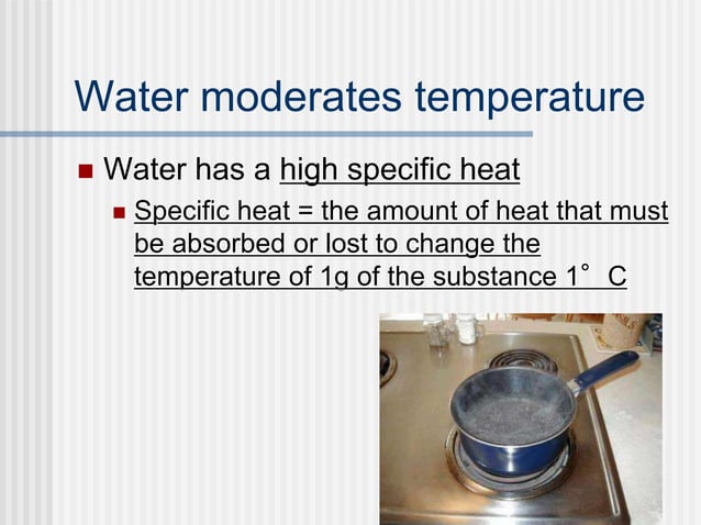 AP Biology Properties of Water | PPTX