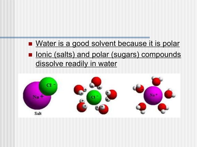 AP Biology Properties of Water | PPTX
