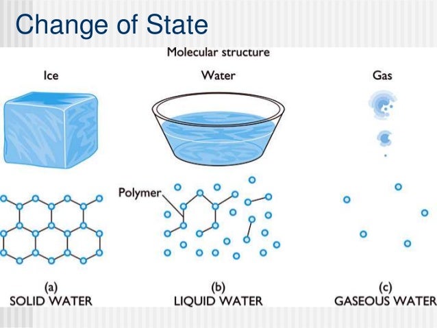 AP Biology Properties of Water