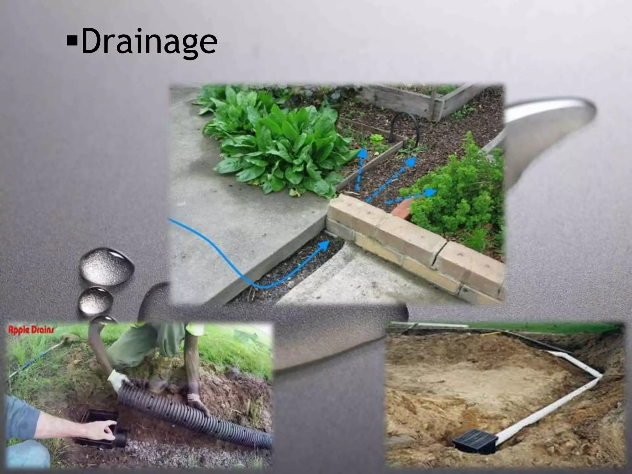 Water..landscape architecture | PPTX