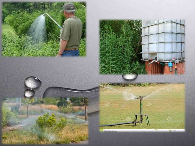 Water..landscape architecture | PPTX | Landscaping | Home & Garden