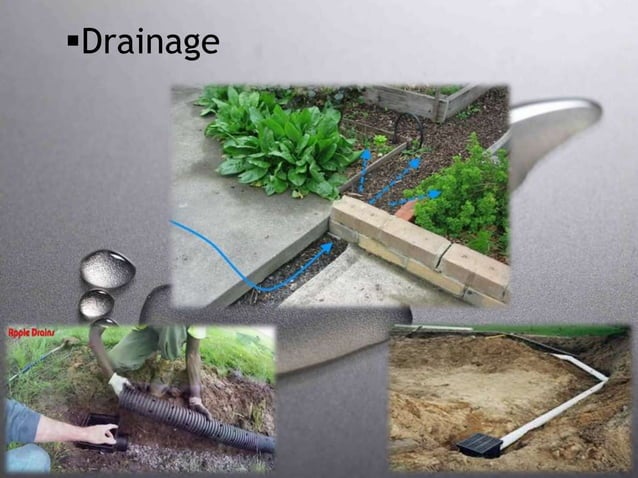 Water..landscape architecture | PPTX | Landscaping | Home & Garden