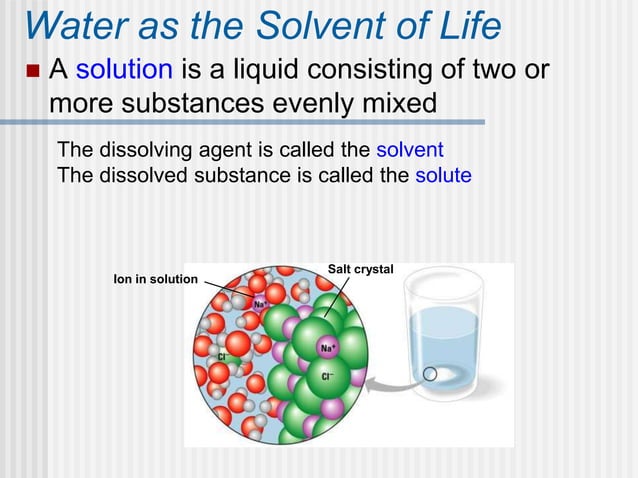 Water and it's life giving properties | PPT