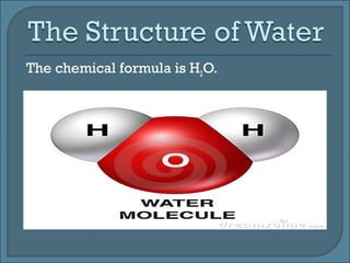 Water | PPT