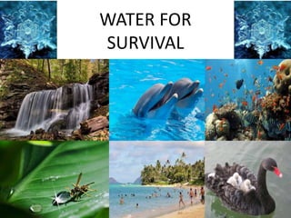 Water - key element of life | PPTX