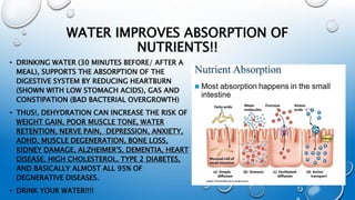Water | PPT