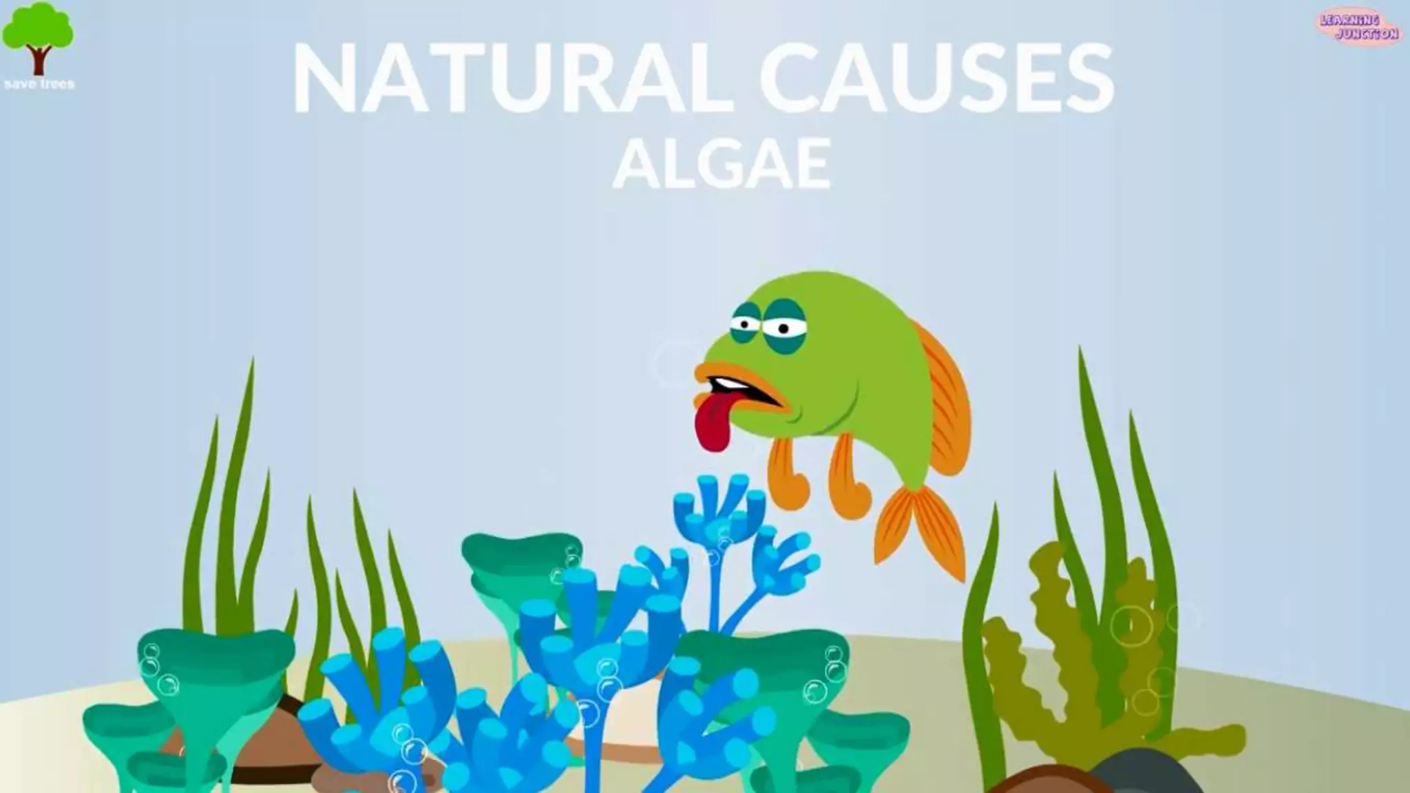 Water for kids | PPTX