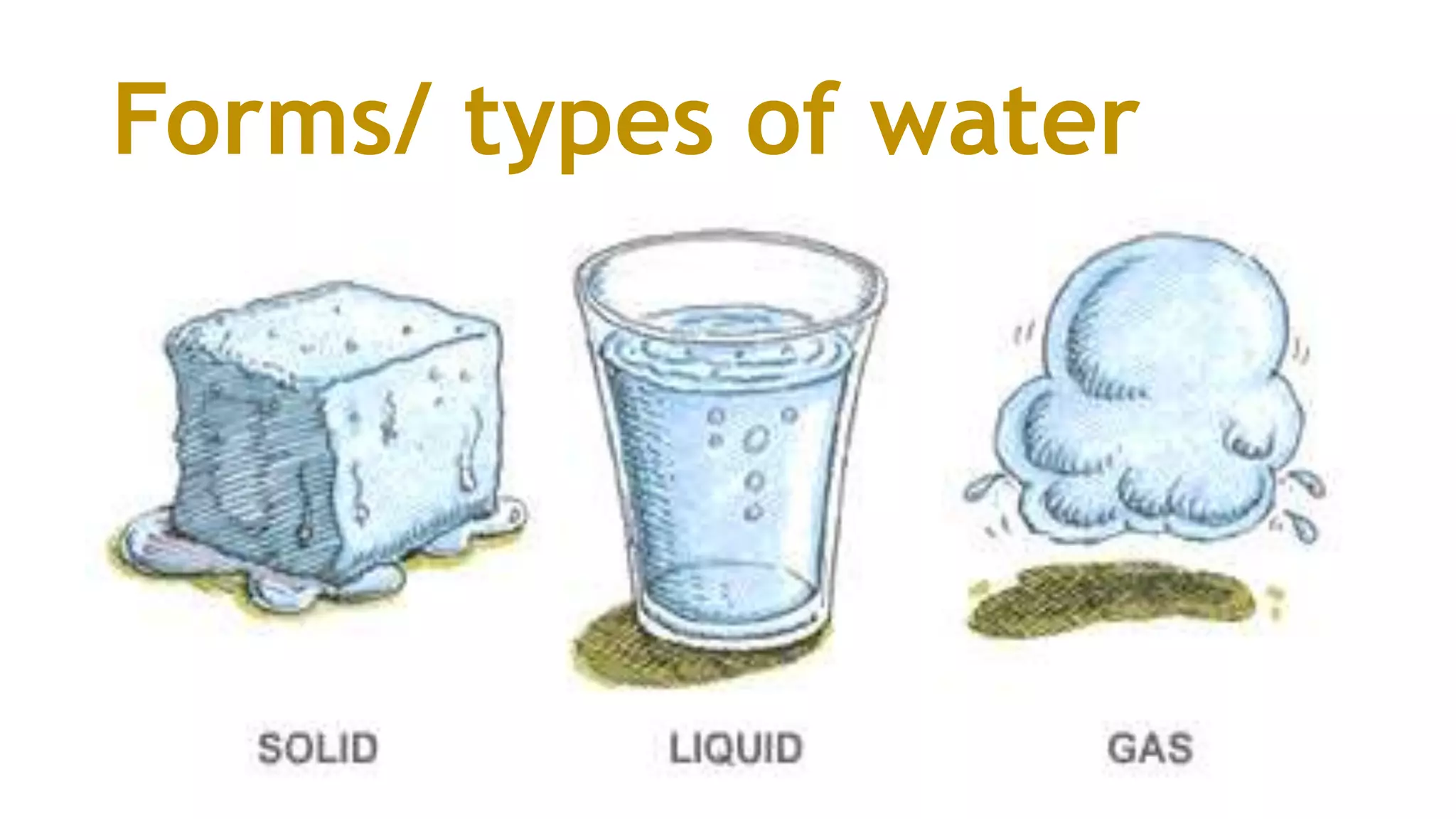 Water for kids | PPTX