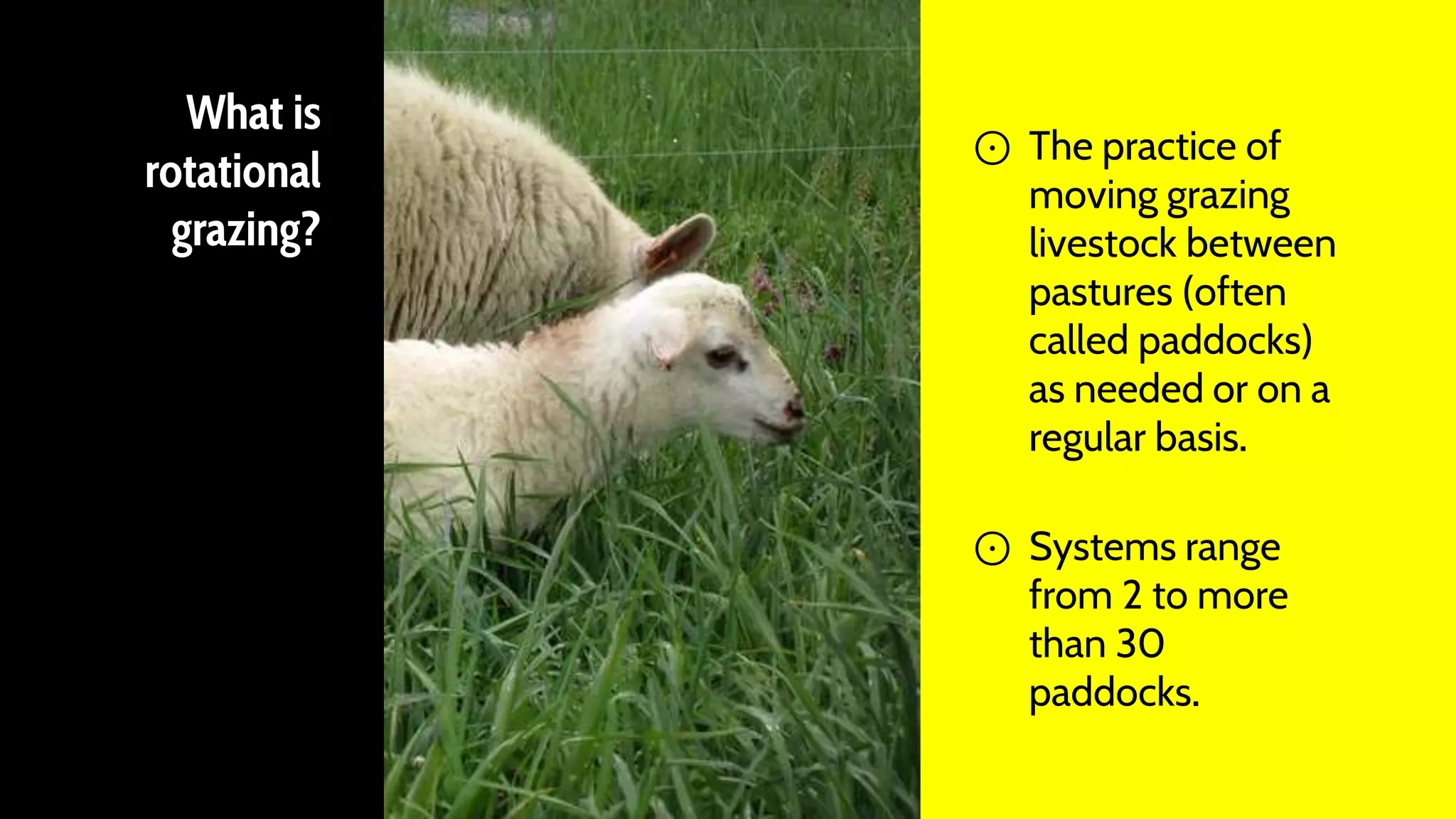 Feeding, Watering, and Sheltering Systems for Rotatoinal Grazing | PPT ...
