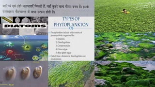 WATER CHAPTER 5 | PPT