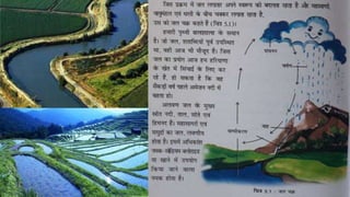 WATER CHAPTER 5 | PPT