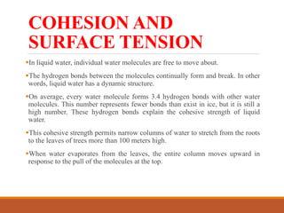 Water: Structure and Properties | PPTX