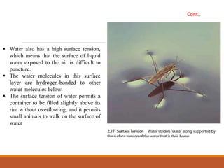 Water: Structure and Properties | PPTX