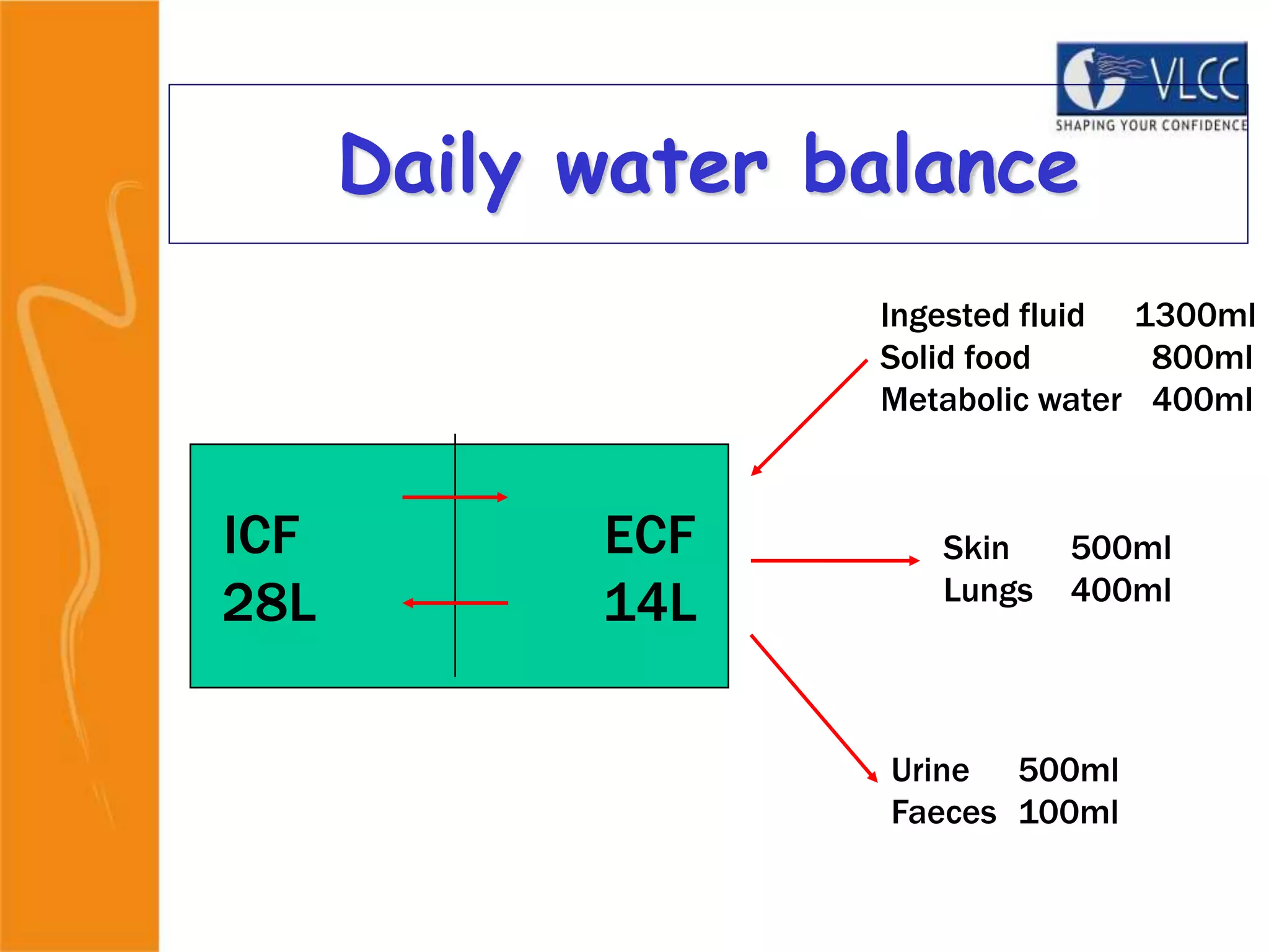 Water.ppt