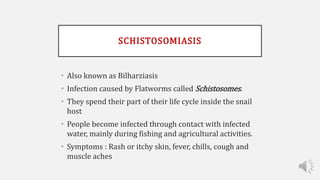 water related diseases | PPTX