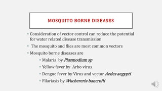 water related diseases | PPTX
