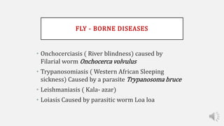 water related diseases | PPTX
