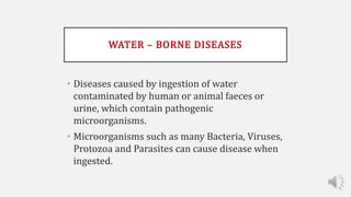 water related diseases | PPTX