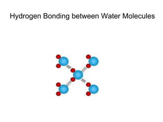 Water.ppt