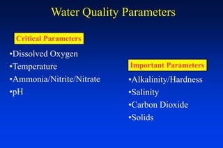 Water.ppt